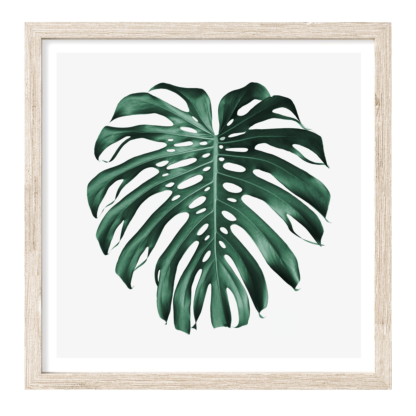 Monstera Leaf Ii Botanical Wall Art Canvas Print Or Art Poster