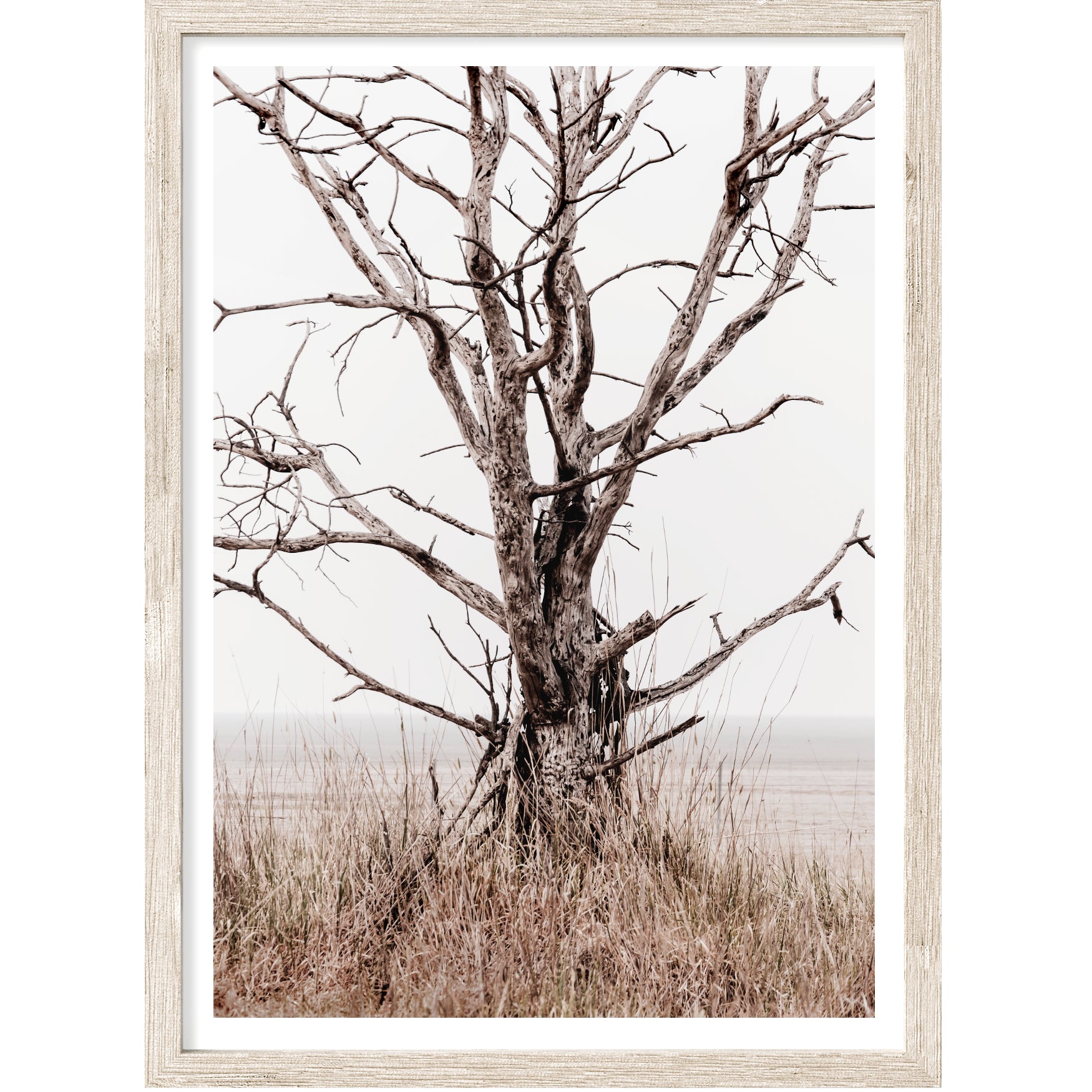 Eternity Tree | Nature Wall Art | Art Poster or Canvas Print – ARRTOPIA