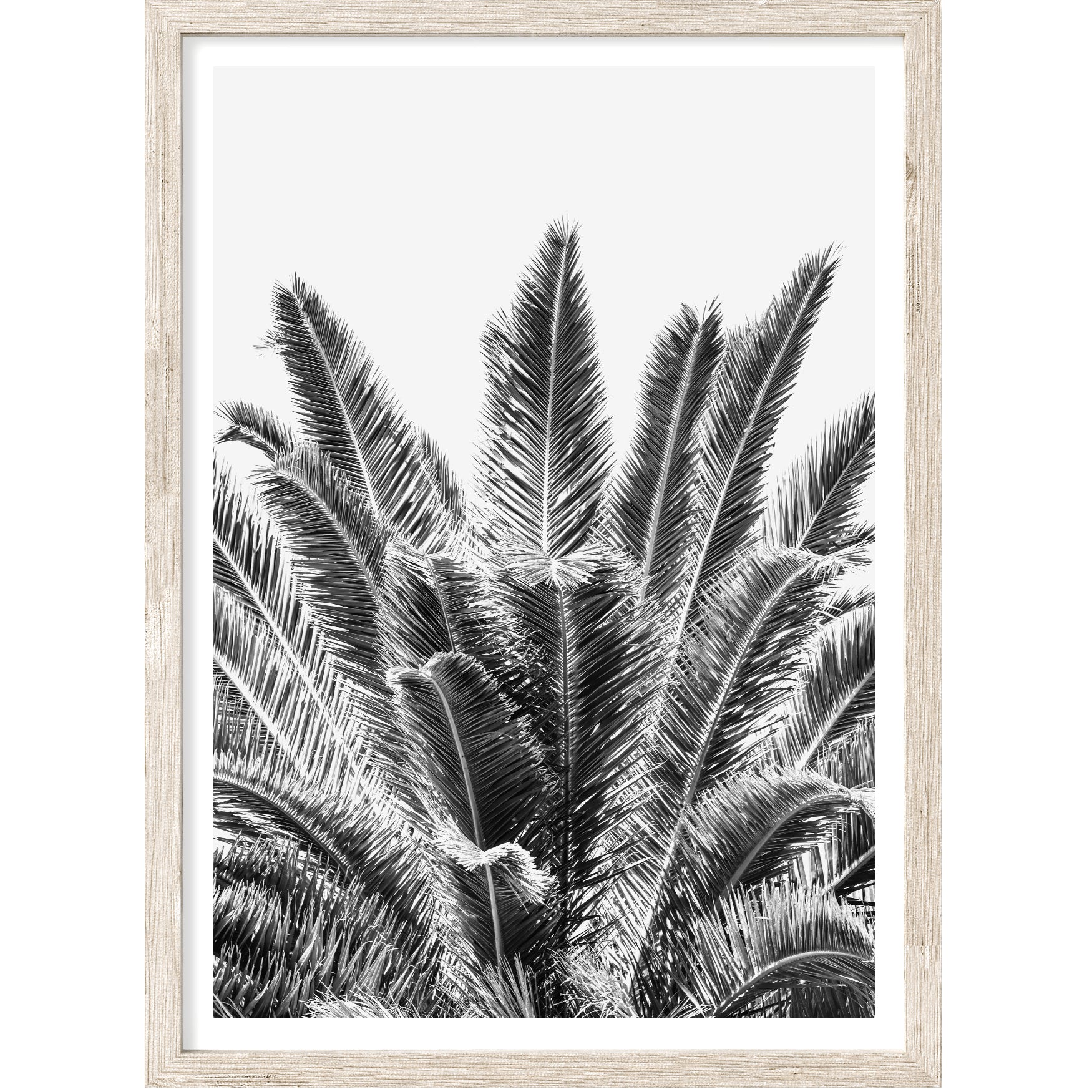 Palm View VI Black & White | Palm Wall Art | Canvas Print or Art Poster ...