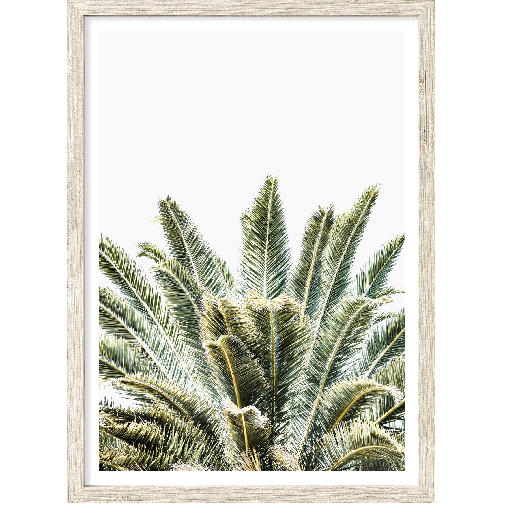 Palm View VI | Palm Wall Art | Canvas Print or Art Poster – ARRTOPIA