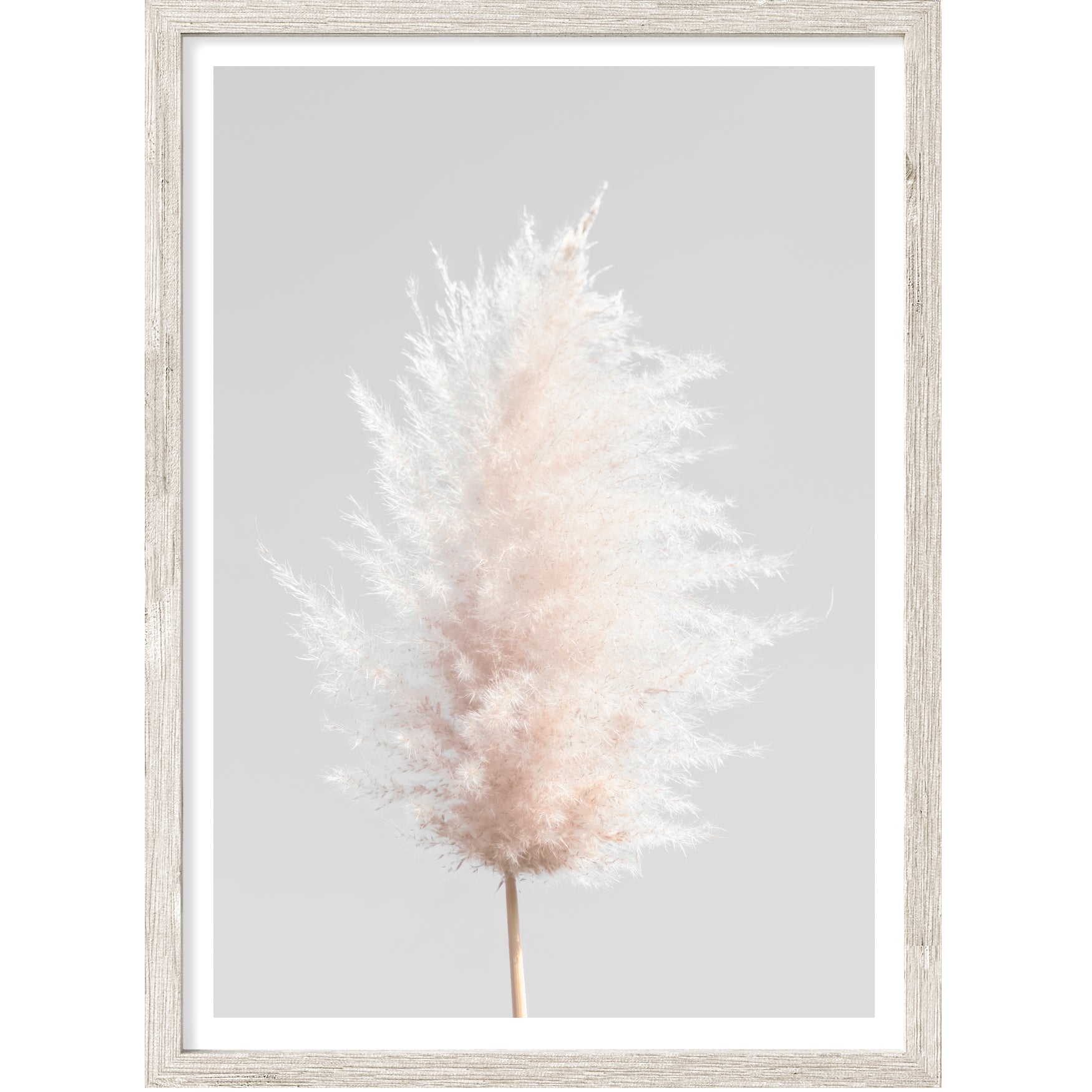 Wall Art Poster or Canvas Print | Botanical Wall Art | Pink Pampas ...