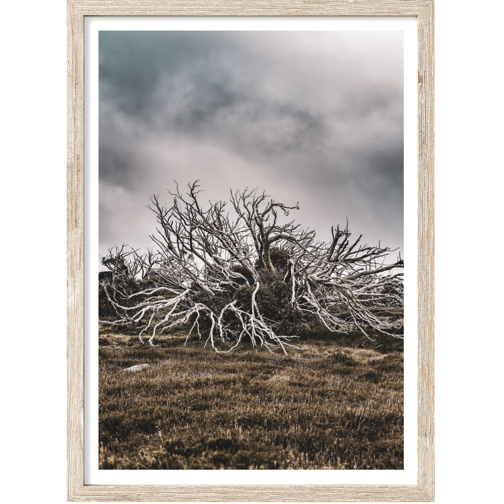 Wall Art Poster or Canvas Print | Nature Wall Art | Perisher Valley ...